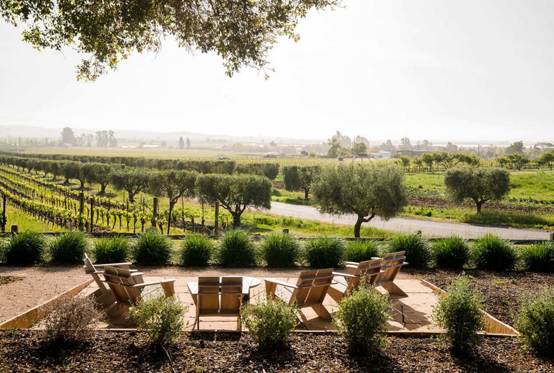 A Note of Gratitude from Our General Manager - Gloria Ferrer